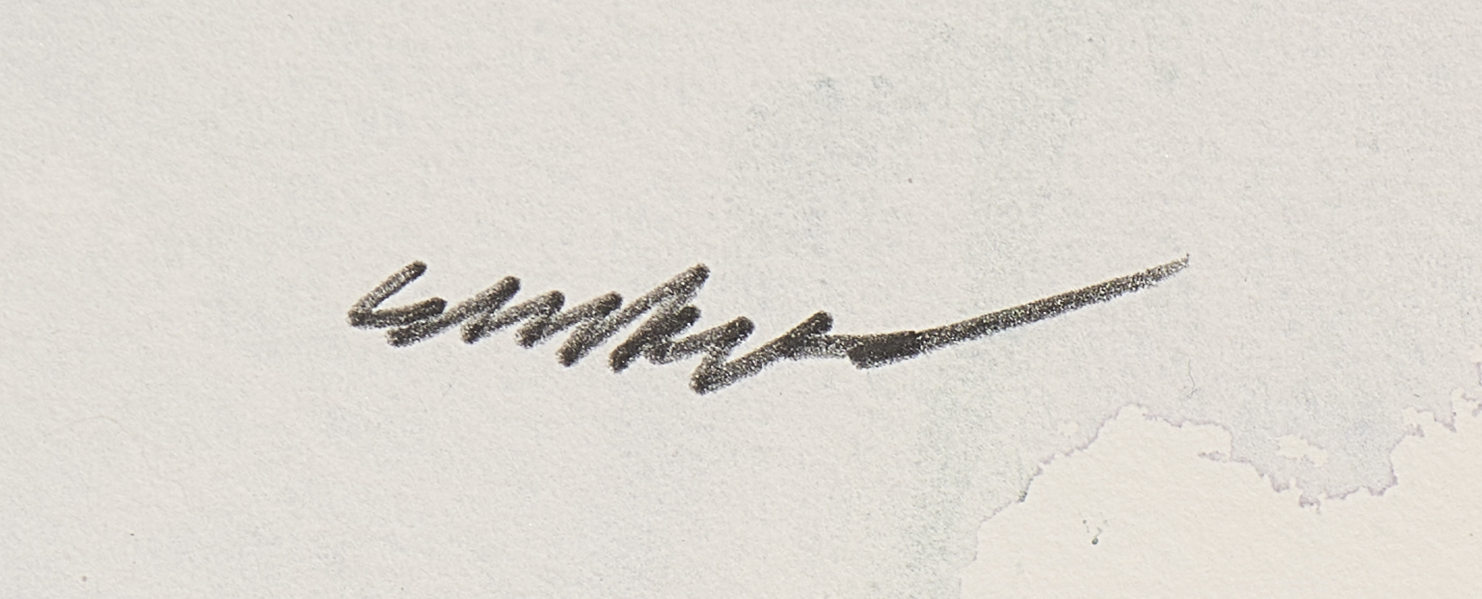 Akvarell, Anna Essipova. ”Tornfalk”. Signerad. Akvarell på papper ...